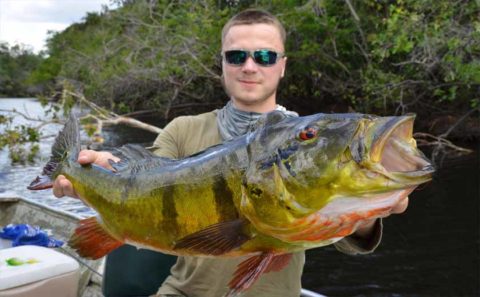 Rod Gun Resources | South America Hunting and Fishing Outfitters